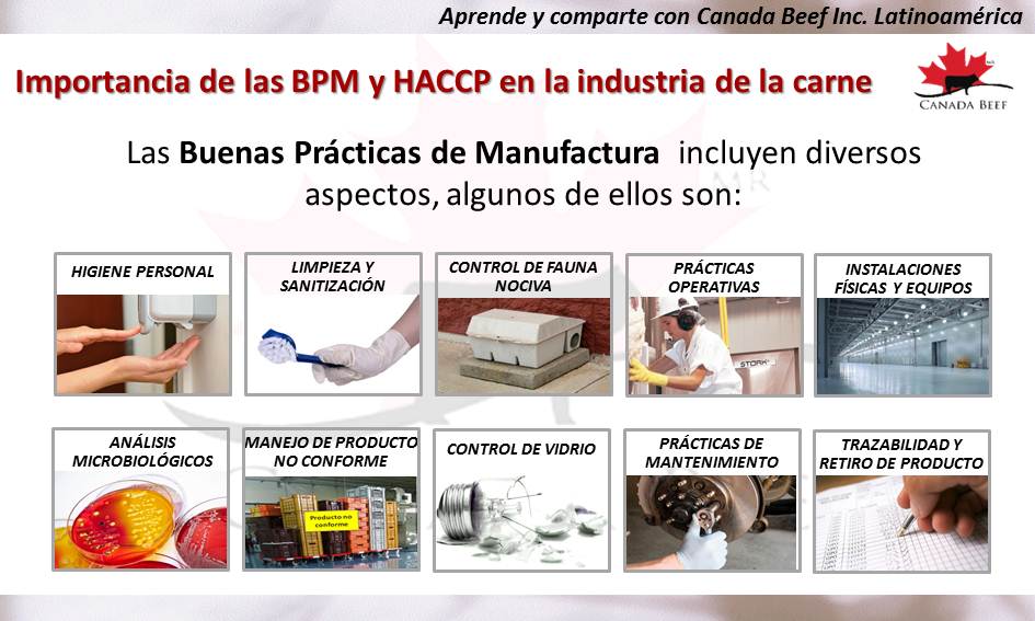 bpm-y-haccp-10 | Canadian Beef